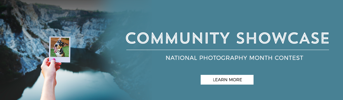 Digital Cameras, Lenses & Equipment - National Camera Exchange