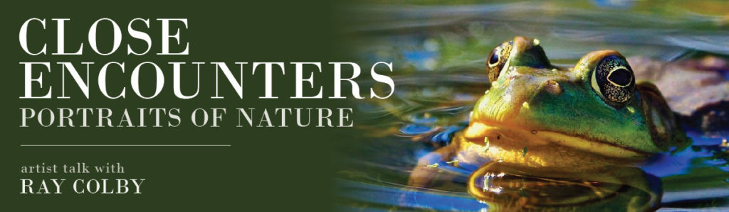 Close Encounters: Portraits of Nature Artist Talk with Ray Colby ...