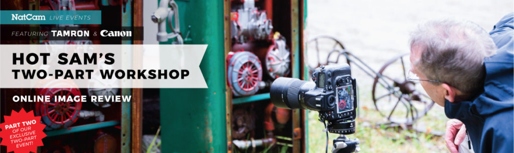Hot Sam's Two-Part Workshop // Part Two: Online Image Review - National ...
