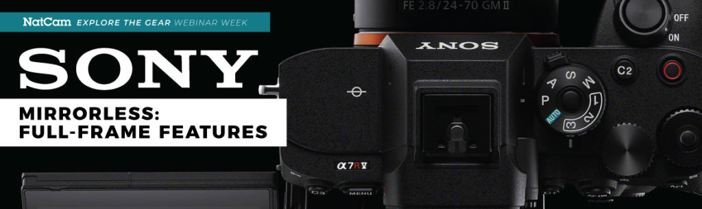 Sony Mirrorless: Full-Frame Features // Online Seminar - National ...