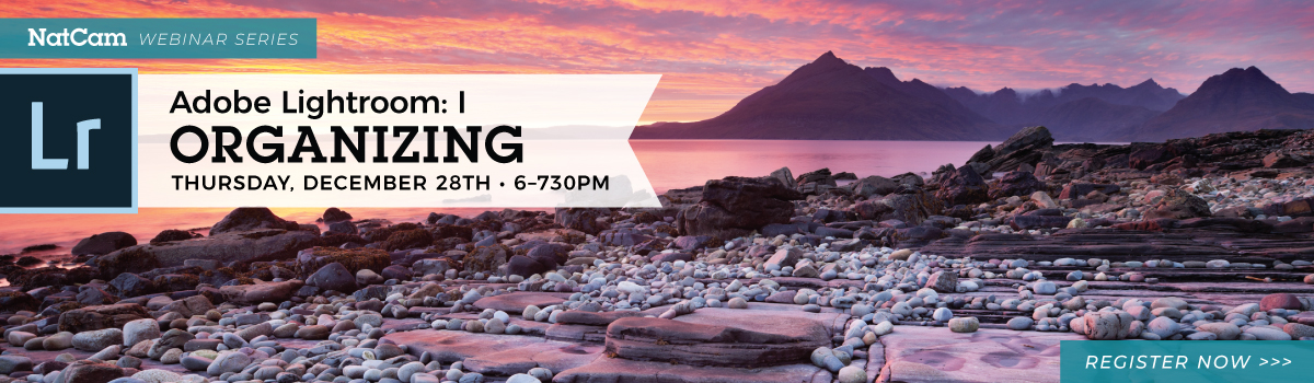 Digital Cameras, Lenses & Equipment - National Camera Exchange