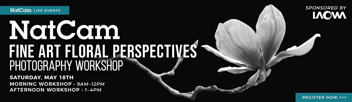 Digital Cameras, Lenses & Equipment - National Camera Exchange