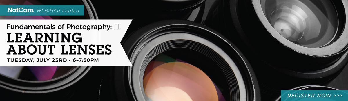 Digital Cameras, Lenses & Equipment - National Camera Exchange