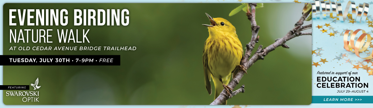 Digital Cameras, Lenses & Equipment - National Camera Exchange